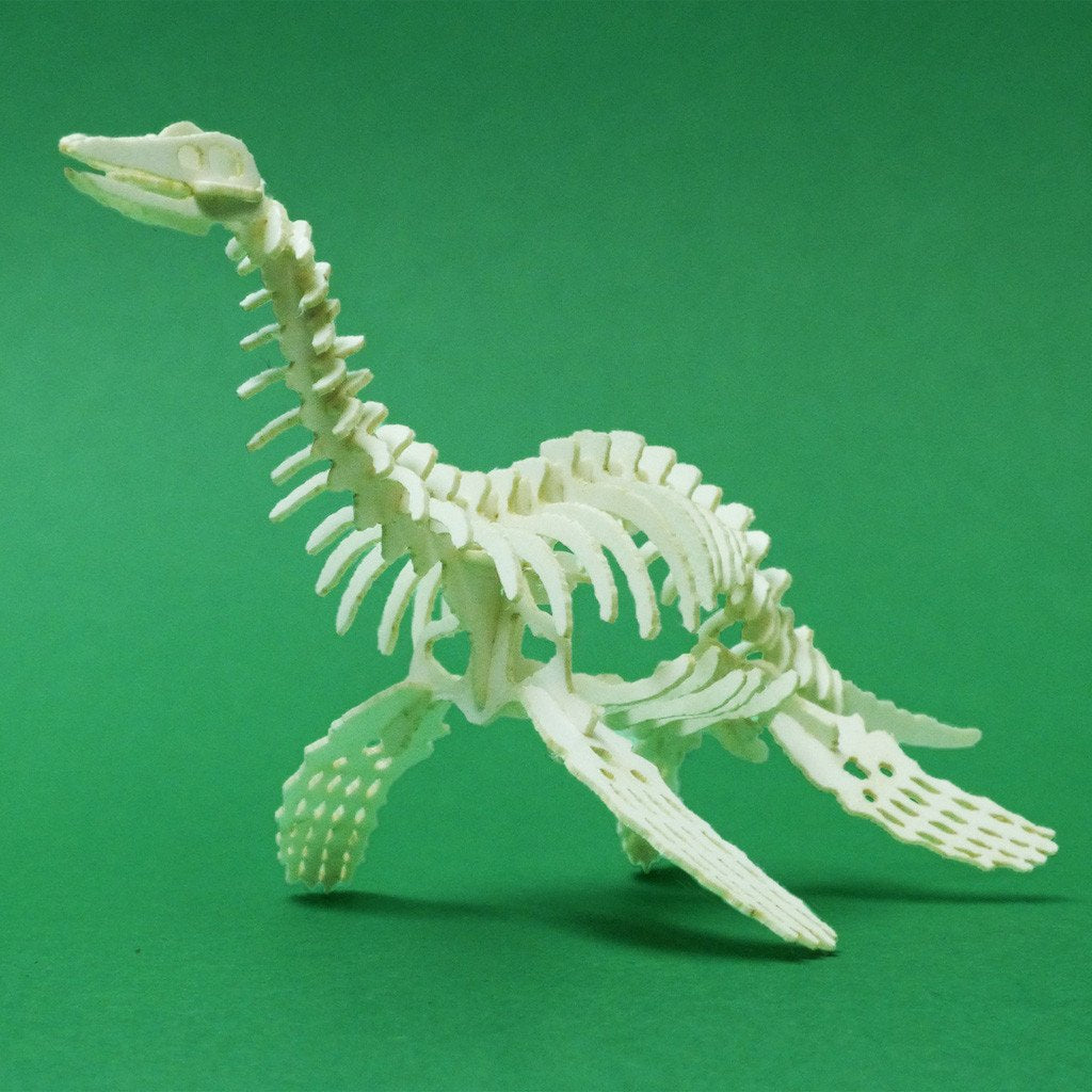 Tinysaur: Plesiosaurus – DIY Kits
